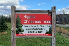 Photo Gallery – Higgins Christmas Trees